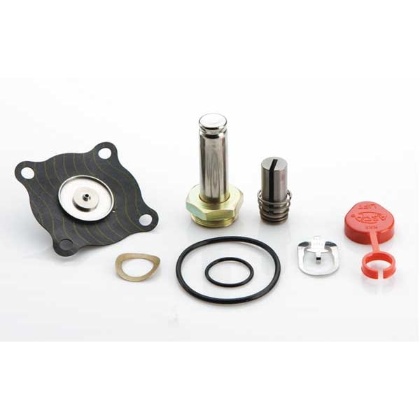 Asco Valve Rebuild Kit 302274 | Zoro