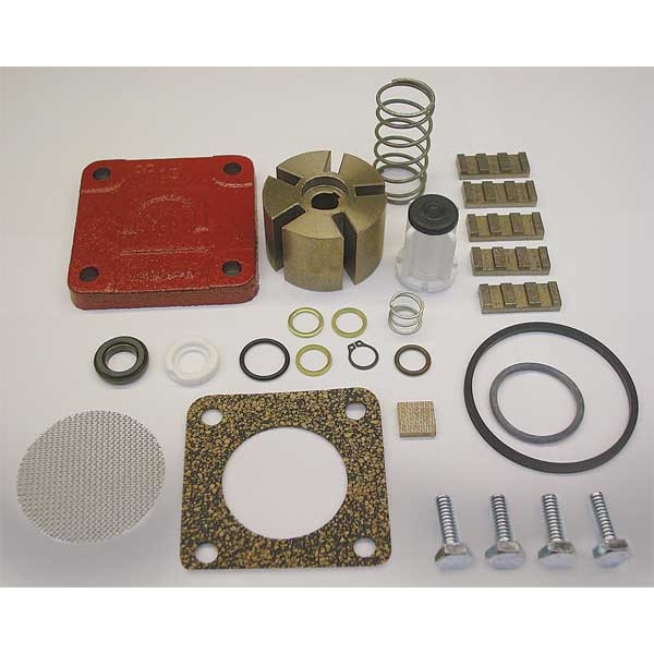 Fill-Rite Fuel Transfer Pump Repair Kit 1200KTG8572 | Zoro
