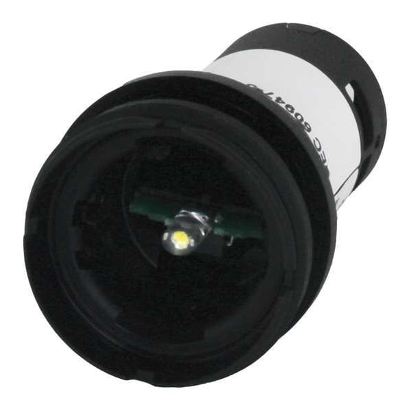 Eaton Raised Indicator Light, White, 120VAC C22-L-XW-120 | Zoro