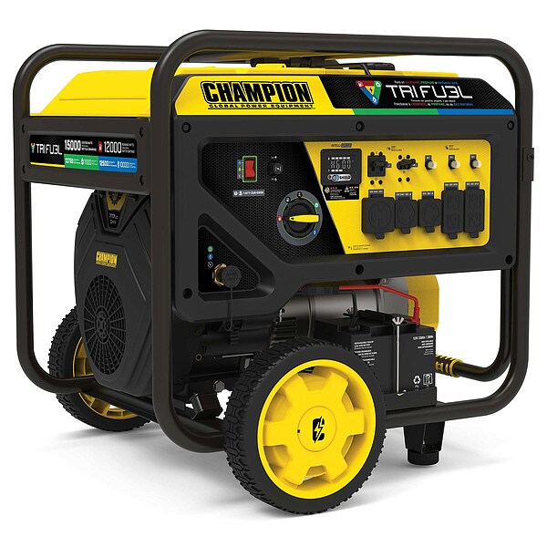 Champion Power Equipment Portable Generator, Gasoline/Natural Gas ...