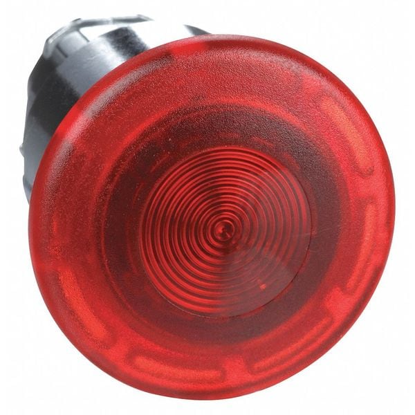 Schneider Electric Illuminated Push Button Operator, 22 mm, Red ZB4BW643 | Zoro