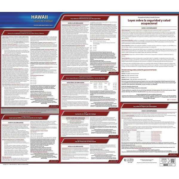 Jj Keller Labor Law Poster, Spanish, HI, Plastic 200-HI | Zoro
