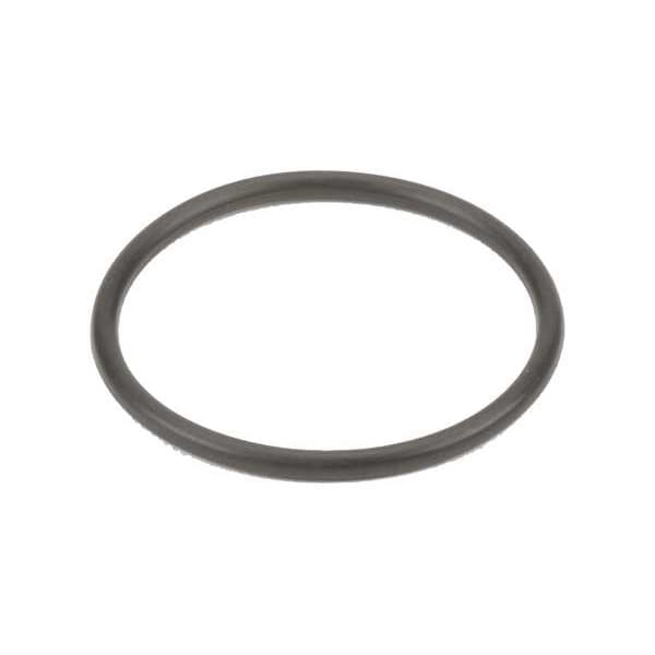 Banjo Gasket, T Line Strainer, 3/4-1 In LST100-G | Zoro