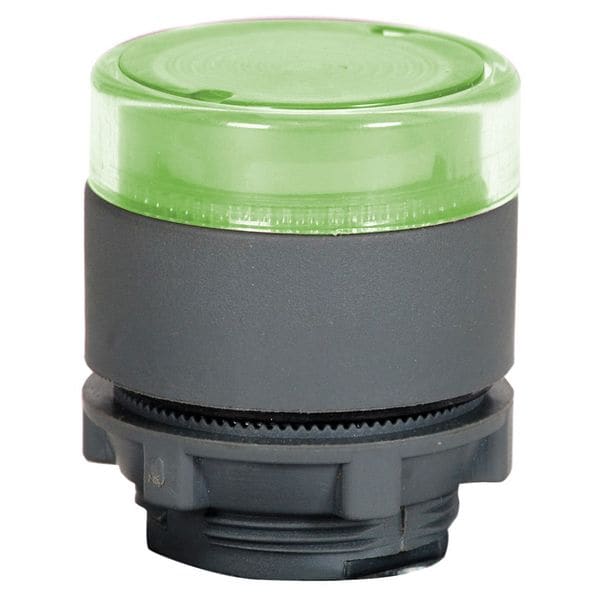 Dayton Illuminated Push Button Operator, 22 mm, Green 30G124 | Zoro