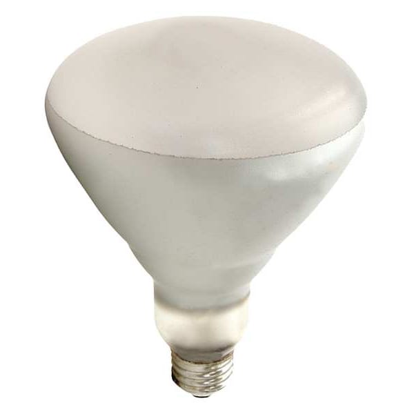 Shat-R-Shield SHAT-R-SHIELD 125W, BR40 Incandescent Light Bulb 125BR40 ...