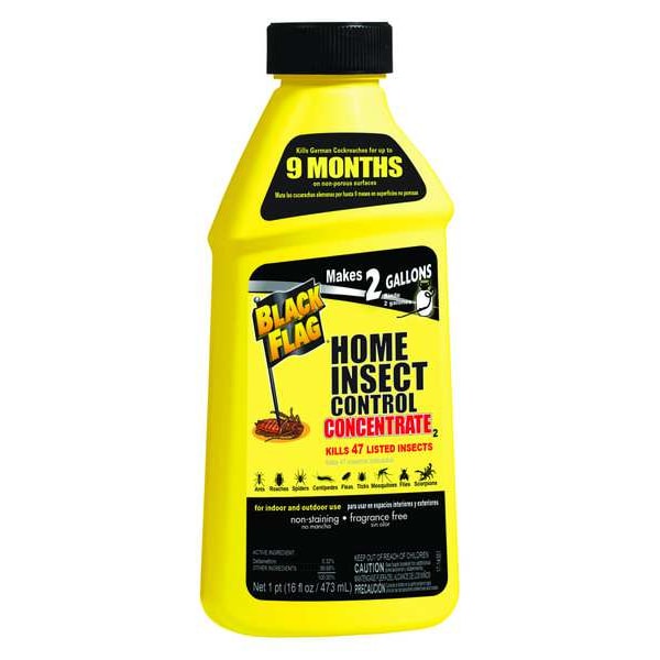 Black Flag 16 oz. Liquid Concentrate Indoor/Outdoor Insecticide HG ...