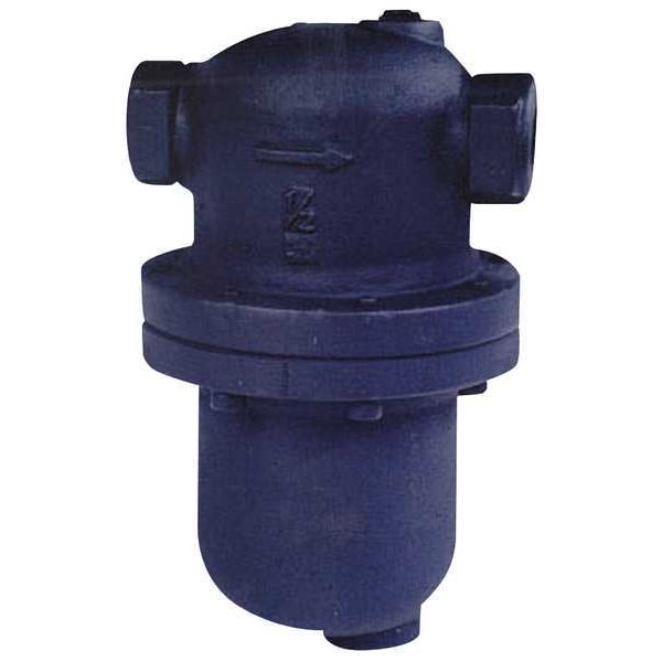 Armstrong International Steam Separator, 1/2 In, 300 psi DS-1-050 | Zoro