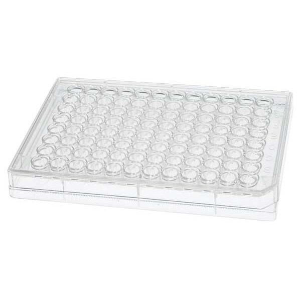 Cellstar 96 Well Plate