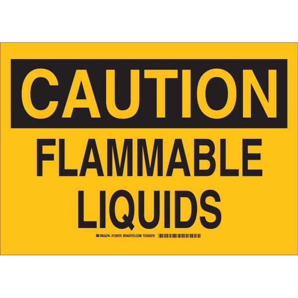 Brady Danger Sign, 10 in H, 14 in W, Polyester, Rectangle, English ...