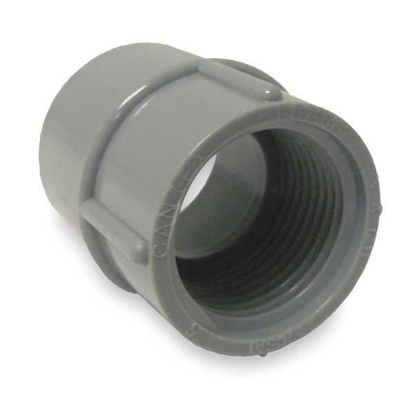 Cantex Conduit Fitting Adapter, 1 in, Threaded, PVC, Polished 5140045 ...