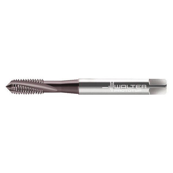 Walter Spiral Flute Tap Plug, 3 Flutes 20410TR-M5 | Zoro
