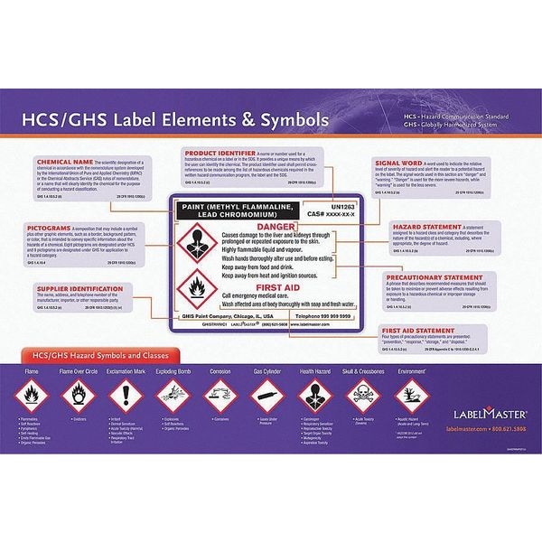 Labelmaster Training DVD, GHS Label Training, Spanish GHISTRNPST1S | Zoro