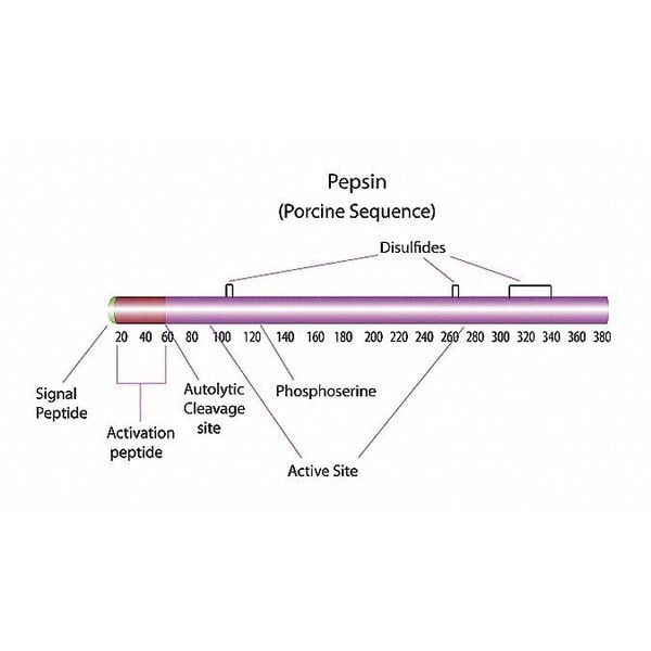 Sigma-Aldrich Pepsin, Contains 25g, CAS 9001-75-6 P7000-25G | Zoro