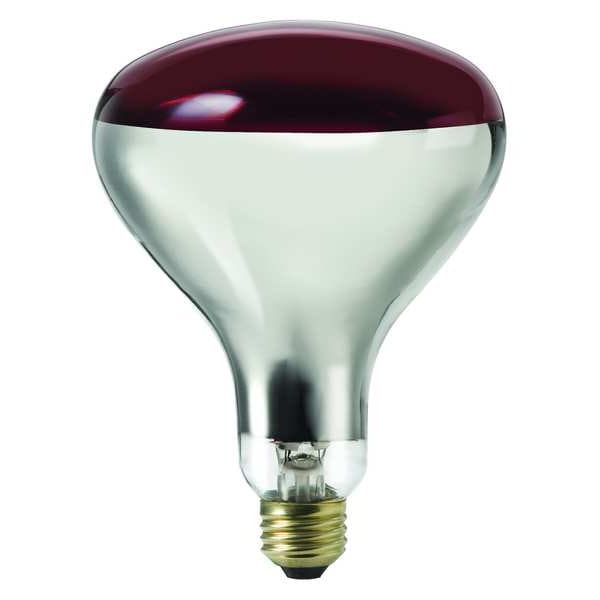 Signify Incandescent Lamp, R40 Bulb Shape, 250W 250R40/HR/TG 4/1 | Zoro
