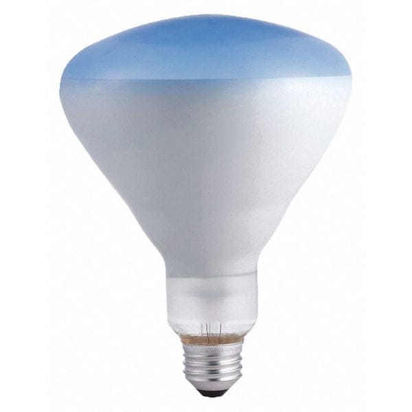 Signify Incandescent Lamp, R20 Bulb Shape, 120W 120BR/AGRO 120V 6/1PK ...
