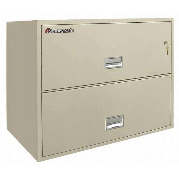 Sentry Safe 2 Drawer Fire-Resistant Filing Cabinet, Putty, Letter/Legal ...