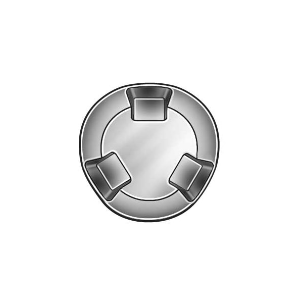 Tamper-Pruf Screws 1/4"-20 x 1 in Tri-Groove Round Tamper Resistant ...