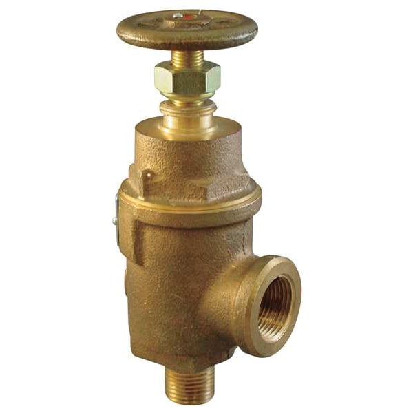 Kunkle Valve Adjustable Relief Valve, 1 In, 100 psi 0019-E11-MG0100 | Zoro