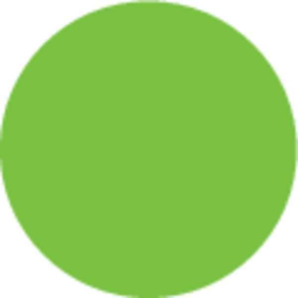 Labelmaster Circle Blank Labels 5", Green/Roll, Pk500 B5G | Zoro