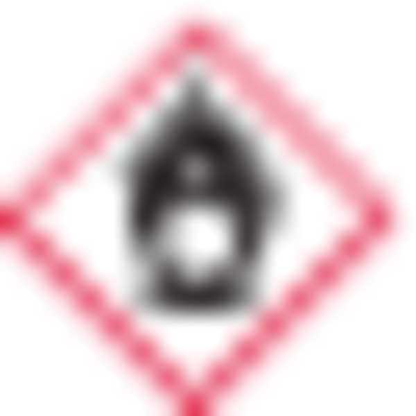 Labelmaster GHS Mini Flame Over Circle Labels, Pk500 MLGHIS2 | Zoro