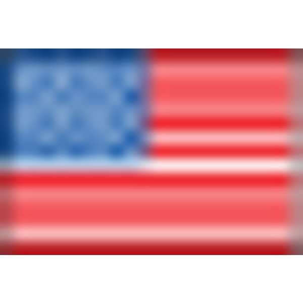 Labelmaster American Flag Labels, Paper, Pk500 USA25 | Zoro