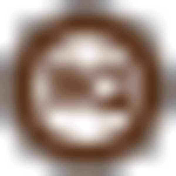 Labelmaster RQ Label, Hazardous Substance, PK500 RQM | Zoro