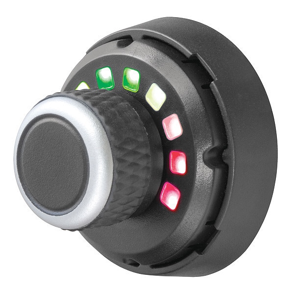 Curt Spectrum Brake Control 51170 | Zoro