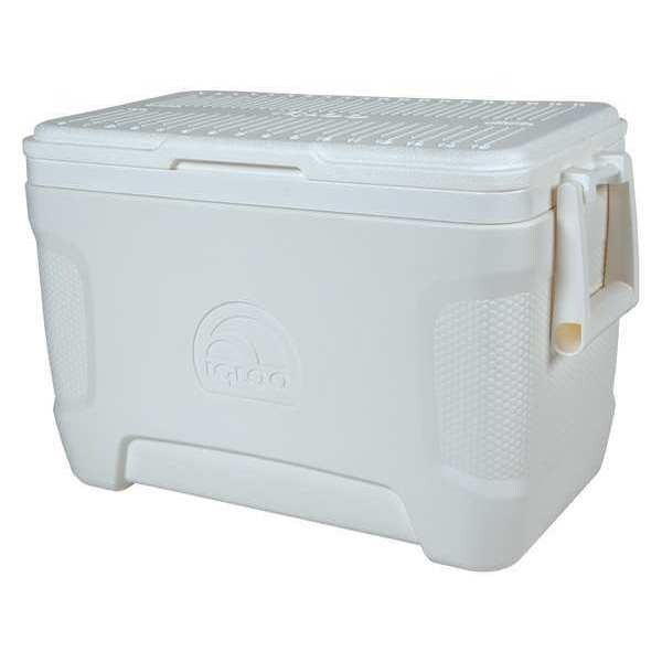 Igloo Chest Cooler, Container Storage, 25 qt. 49644 | Zoro