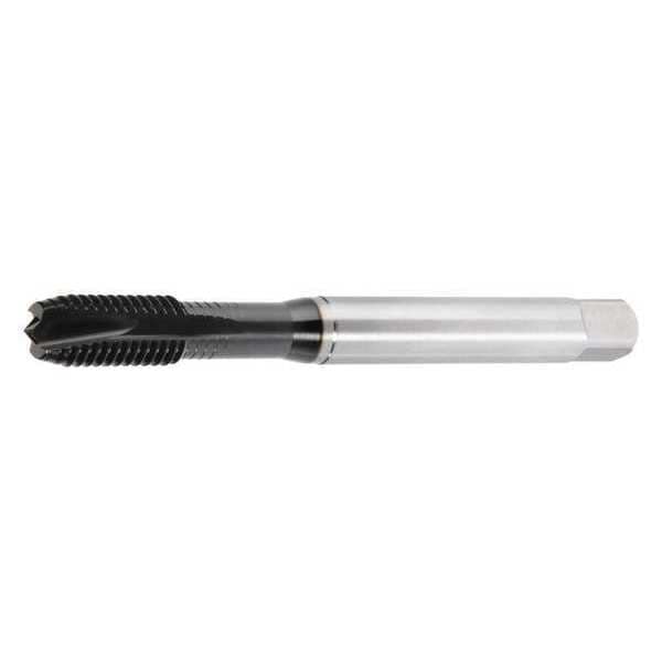 Widia Spiral Point Tap, Plug, 2 GT705002 | Zoro