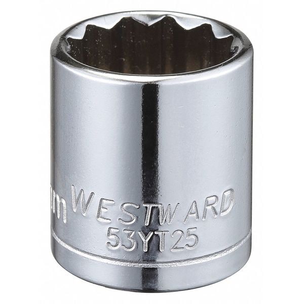 Westward WESTWARD 3/8 in Drive, 17mm Triple Square Metric, Socket, 12 ...