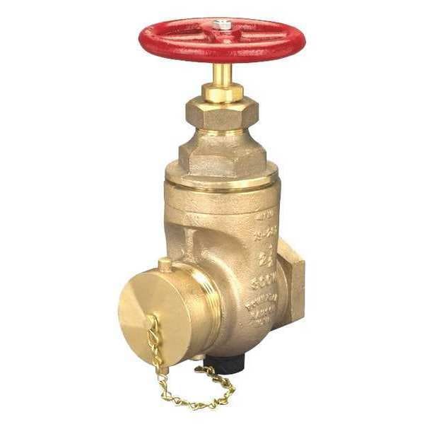 Dixon Wedge Disc Gate Valve, 2.5"FNPTx2.5"MNST WDGV250F | Zoro