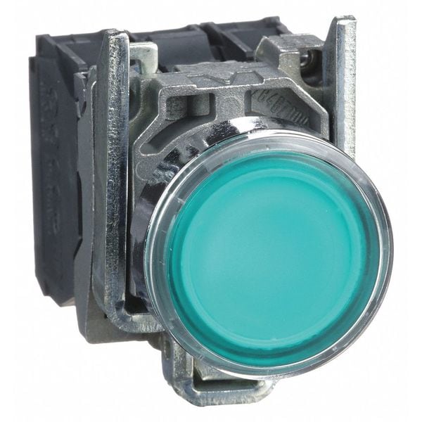 Schneider Electric Illuminated Push Button, 22 mm, 1NO/1NC, Green XB4BW33B5 | Zoro