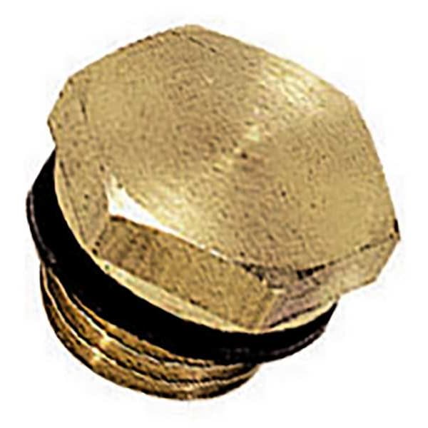 Legris Brass Hex Head Plug, Metric 0220 19 00 | Zoro