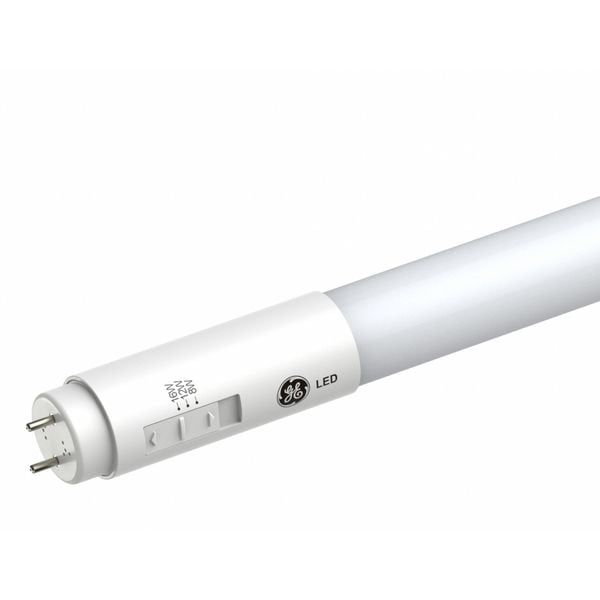 Ge Lamps LED, 8 W, 12 W, 16 W, T8, Medium Bi-Pin (G13) LEDLCBDT8/G4/840 | Zoro