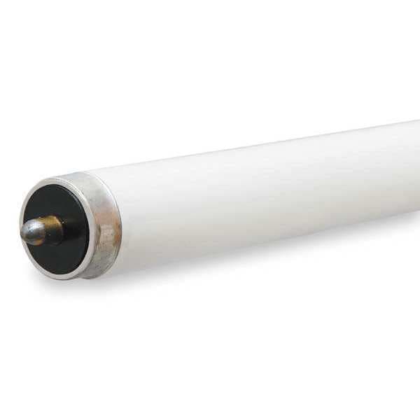 Current Fluorescent Linear Lamp, T6, Cool, 4100K F64T6/CW | Zoro