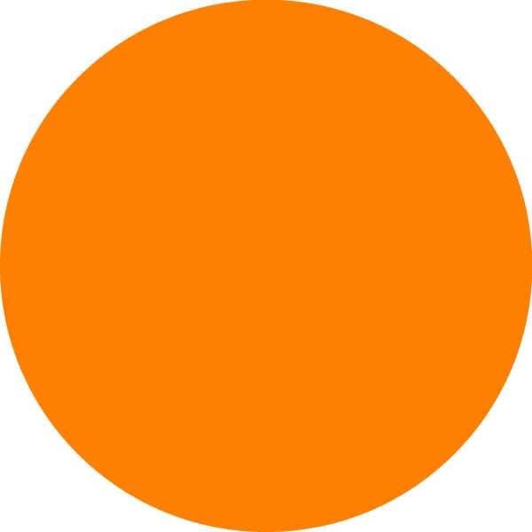 Tapecase Blank Inventory Control Label Orange, Pk1000 16U822 | Zoro