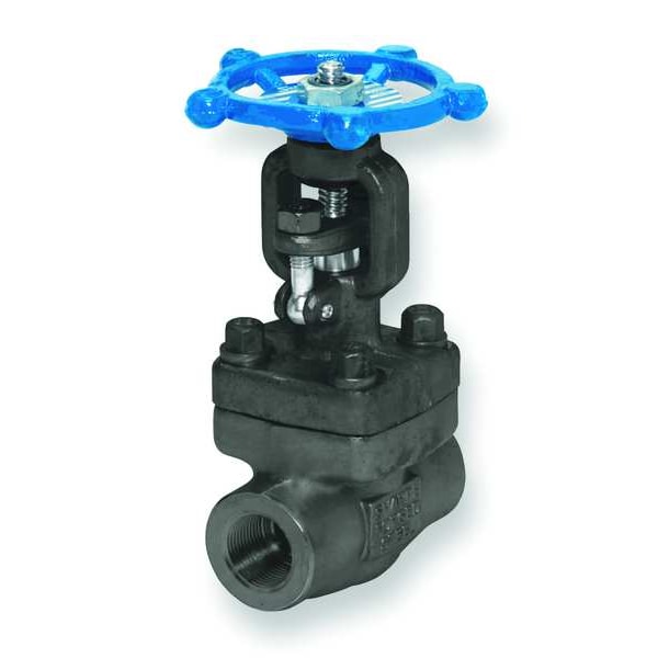 SV34834TE006 Gate Valve,Class 800,3/4 In. | Zoro.com