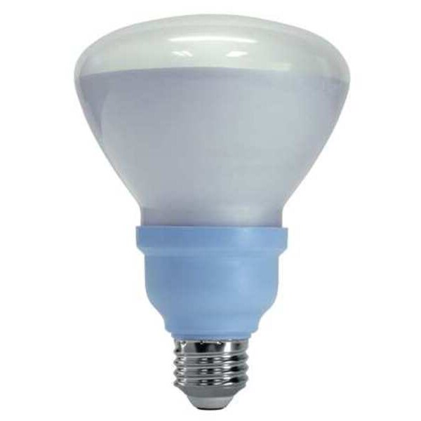 Current GE LIGHTING 15W, R30 Screw-In Fluorescent Light Bulb FLE15 ...
