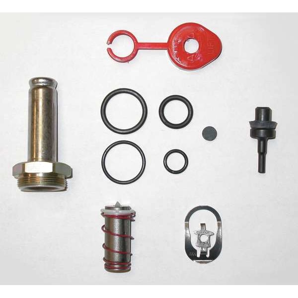 Asco Valve Rebuild Kit, With Instructions 302698 | Zoro