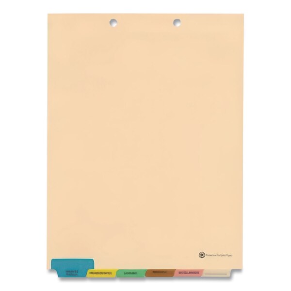 Medicalart 6-Tab Medical Chart Indexes, Bottom Tab, Assorted Medical ...