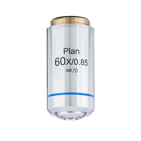 Amscope 60X Plan Achromatic Objective Lens for Infinity-Corrected ...