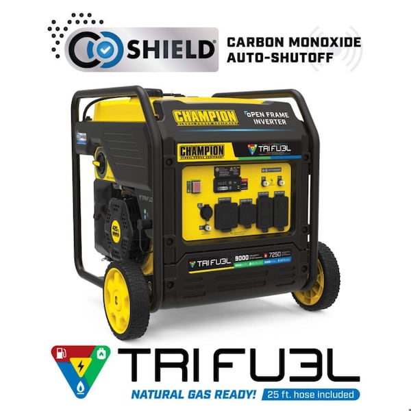 Champion Power Equipment Portable Generator, Gasoline/Natural Gas ...