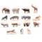 Tickit Wooden Wild Animal Blocks, 15-Piece Set 73572 | Zoro