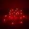 Elegani 100 LED String Red Lights with Clear Wire - 33ft Plug-In Indoor ...