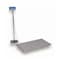 Brecknell PS500 Floor Scale System - 42" 816965001453 | Zoro