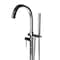 Castello Usa Neptune Freestanding Chrome Gooseneck Tub Filler Faucet ...