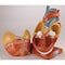 Denoyer-Geppert Anatomical Model, Giant Heart w/Pericardium 0101-00 | Zoro