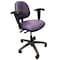 Pedigo Ergo Task Chair, Glacier, PVC-Free Upholstery. w/ Adjustable ...