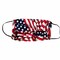 Amerimask AmeriMask American Flag Face Mask Multicolored 1 pk MSK.FL | Zoro