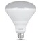Feit Electric Feit BR30 E26 (Medium) LED Bulb Daylight 100 Watt ...